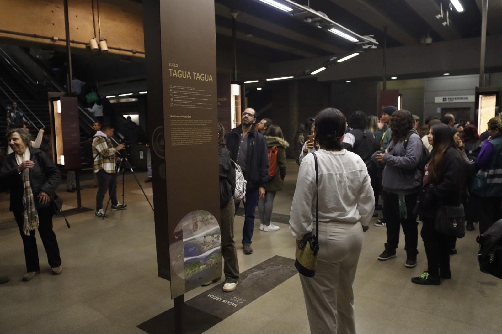 U. de Chile invita a descubrir la importancia del suelo en la ...