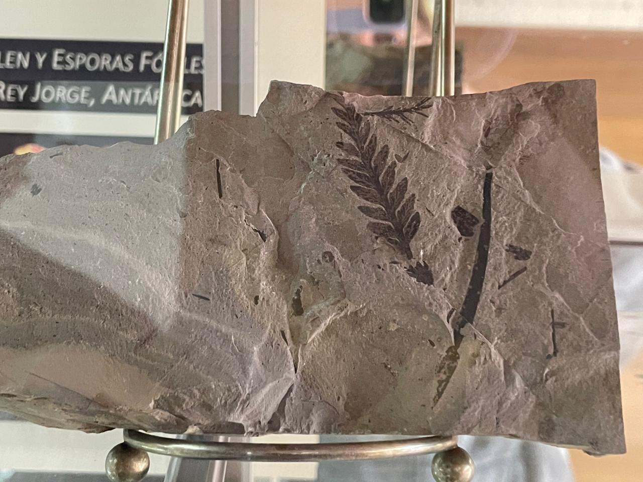 Facultad de Ciencias Agronómicas: Un recorrido por la historia, la ...